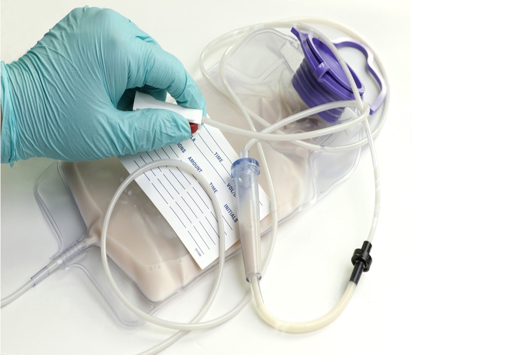 Nuestros cursos - IIDENUT